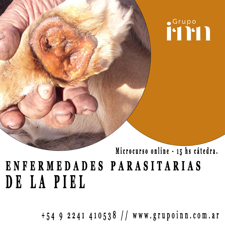 Enfermedades parasitarias de la piel - Grupo Inn
